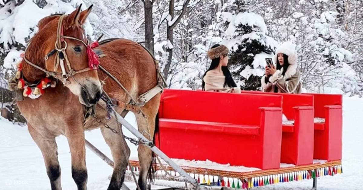 Trải nghiệm trượt tuyết nhóm nhỏ cả ngày tại Ủy ban Thể thao Mới Yabuli - Klook Việt Nam